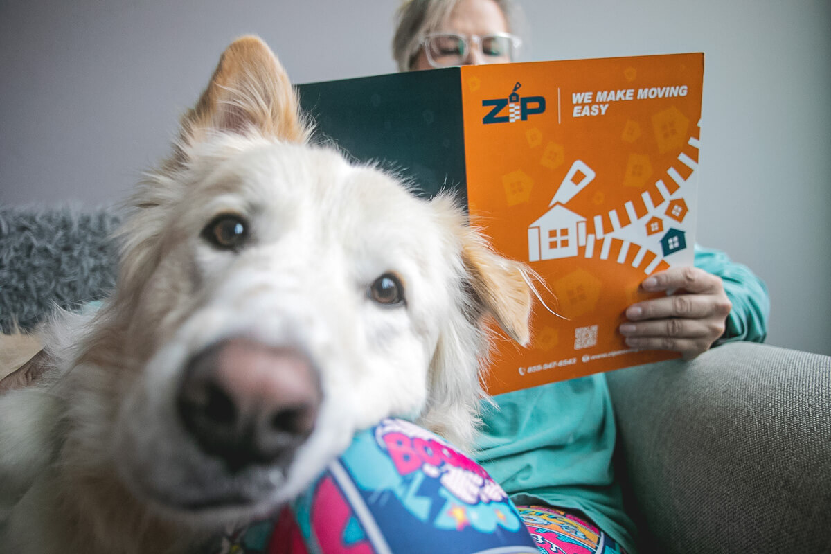 Now that you know how to find the best movers…