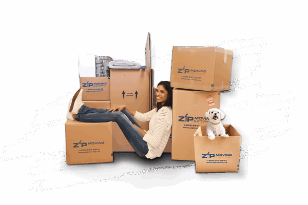 Zip Moving and Storage | Full Service Moving Company